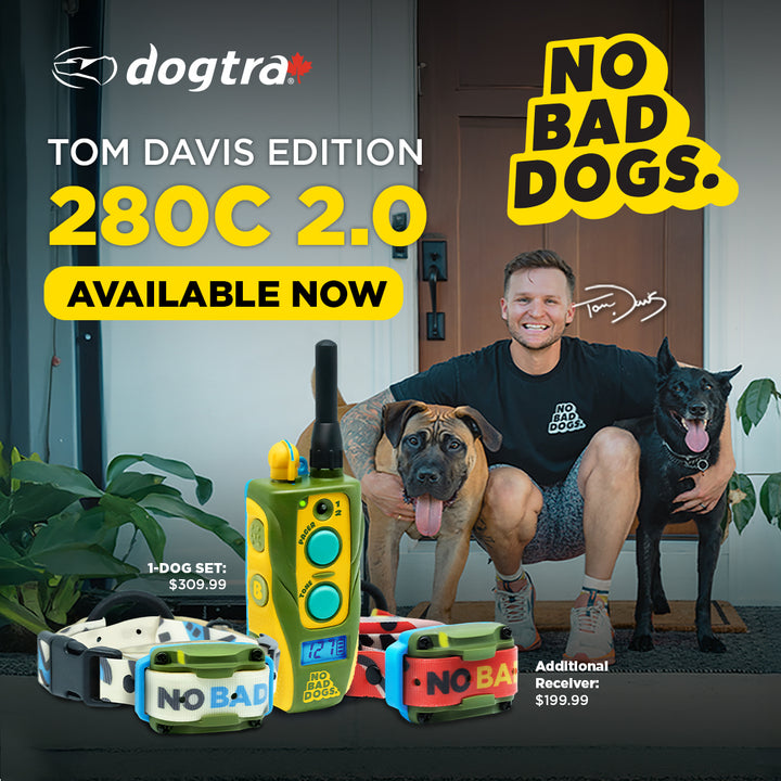 Dogtra Canada – Dogtra