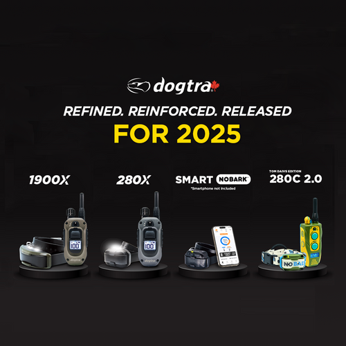 Dogtra Canada – Dogtra