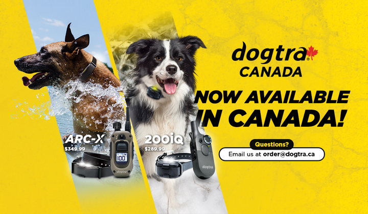 Dogtra Canada – Dogtra