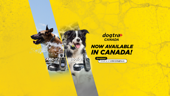 Dogtra Canada – Dogtra