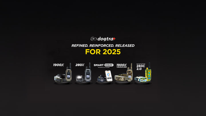 Dogtra Canada – Dogtra
